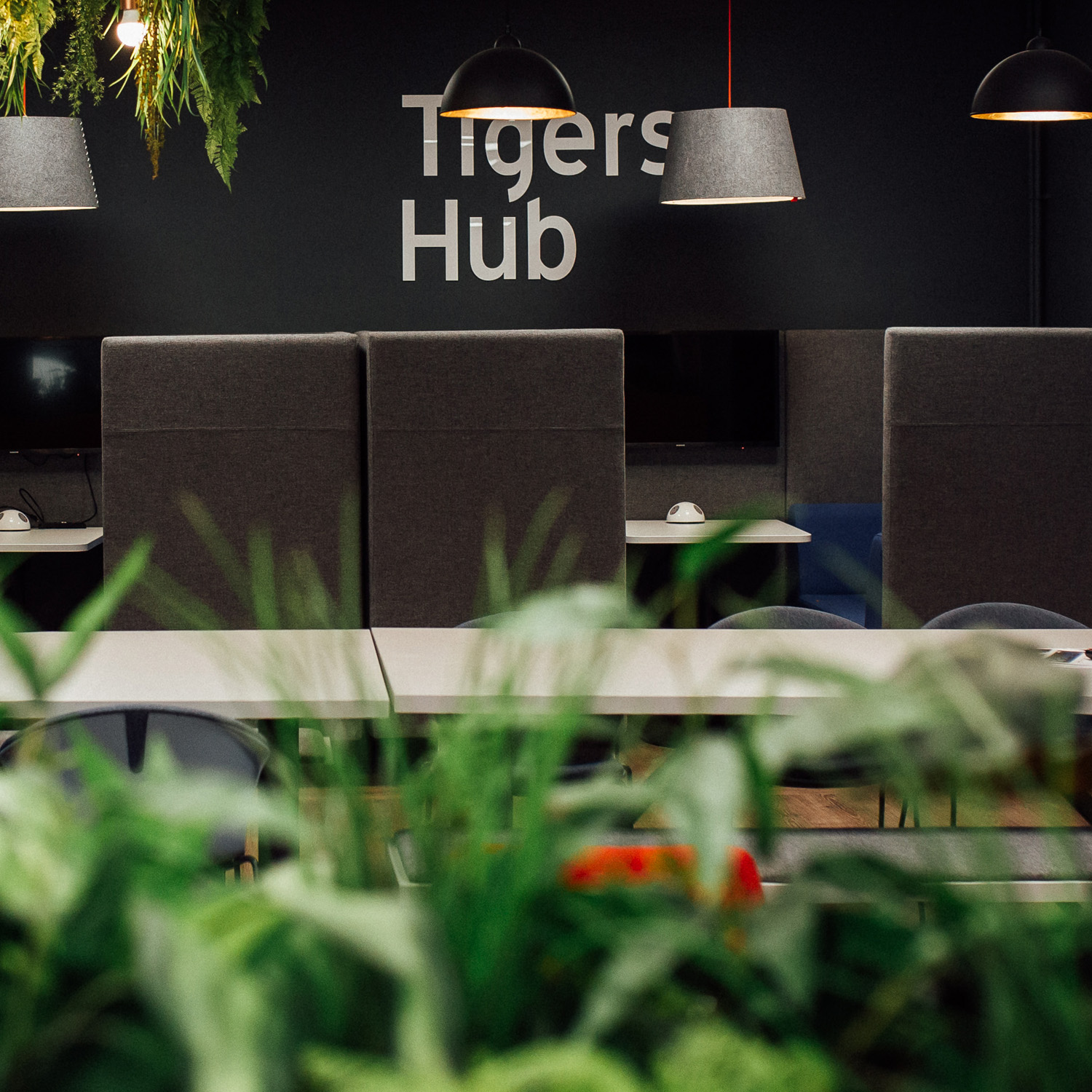 Expert Office Partitioning Nottingham | Vision Projects